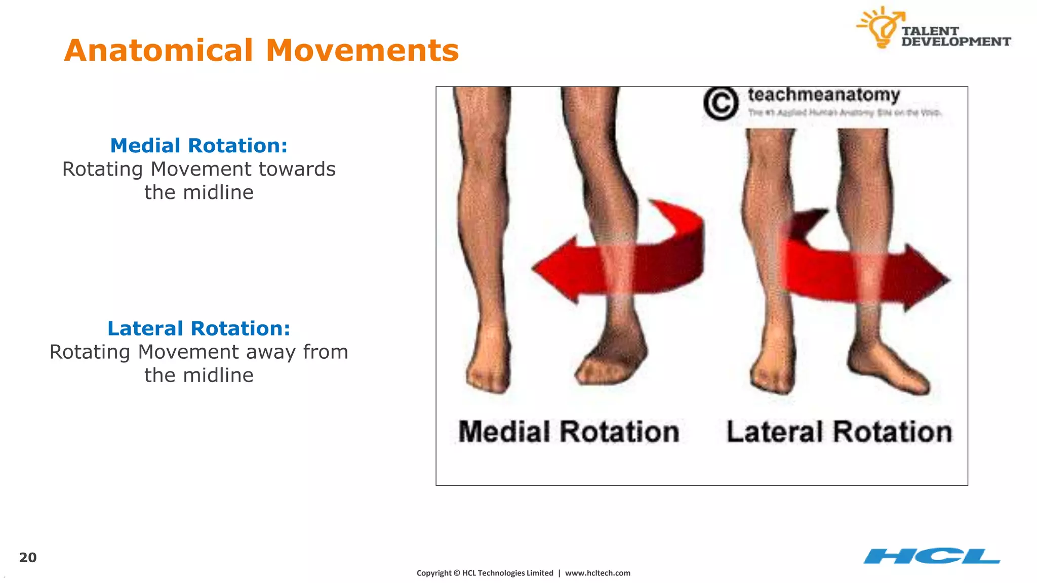 Fundamentals of Human Anatomy & Physiology.pptx | Death, Injury, or ...