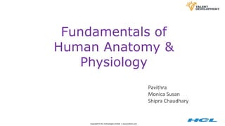 Fundamentals of Human Anatomy & Physiology.pptx