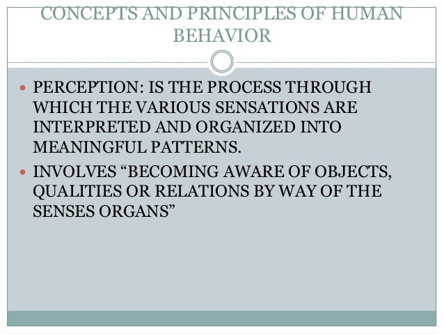 Fundamentals of human behavior