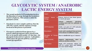 Fundamentals of human energy transfer .pptx
