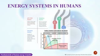 Fundamentals of human energy transfer .pptx