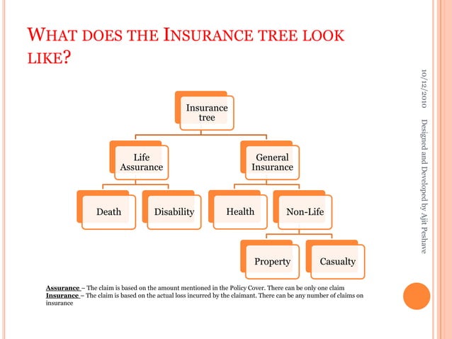 Fundamentals Of Insurance(2) | PPSX | Life Insurance | Insurance