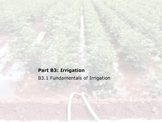 Fundamentals of irrigation explained.pptx