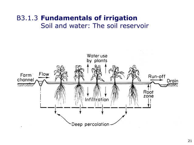 Fundamentals of irrigation explained.pptx