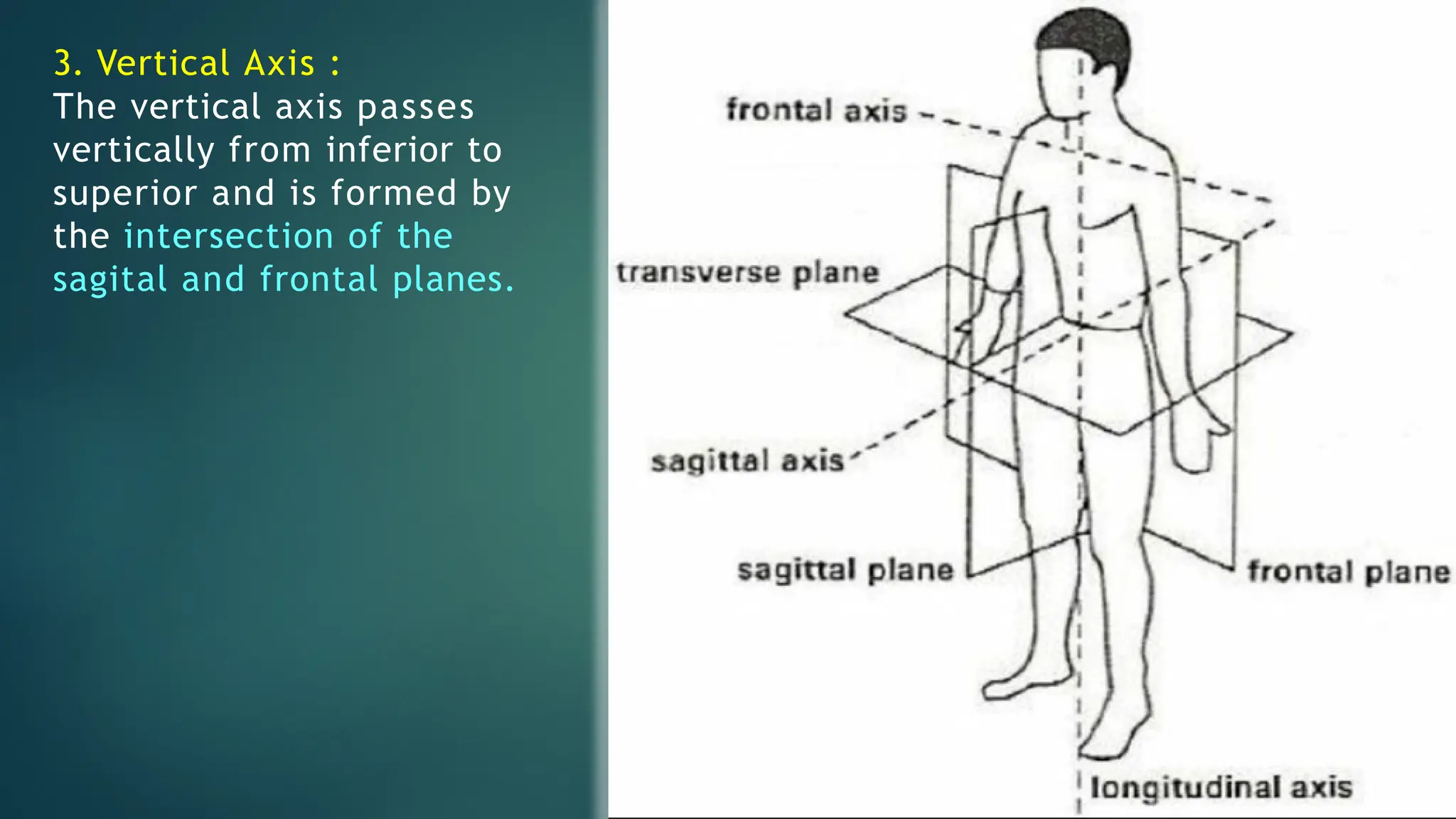 fundamentals of kinesiology and biomechanics in sports 2.0.pptx ...