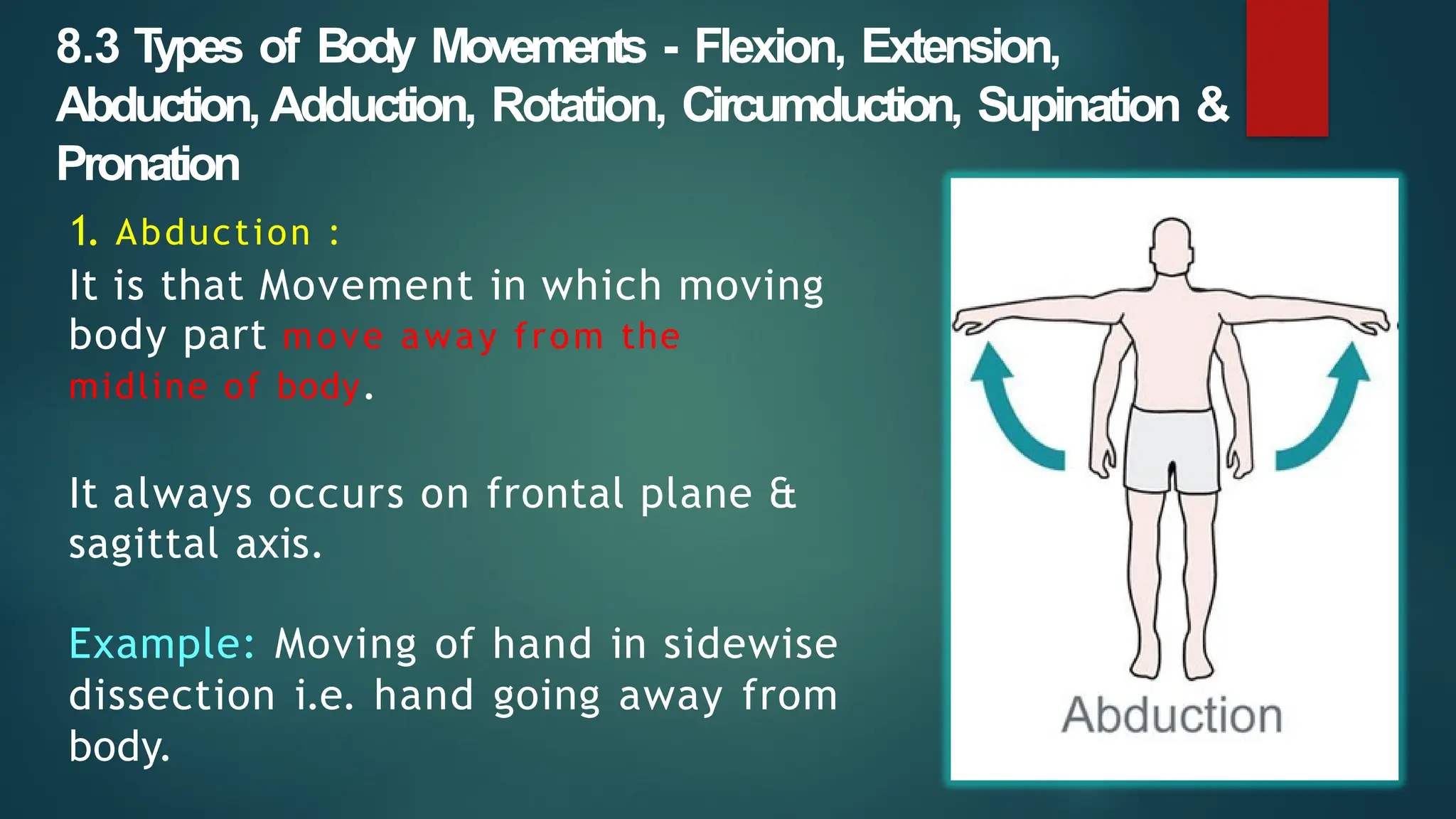 fundamentals of kinesiology and biomechanics in sports 2.0.pptx