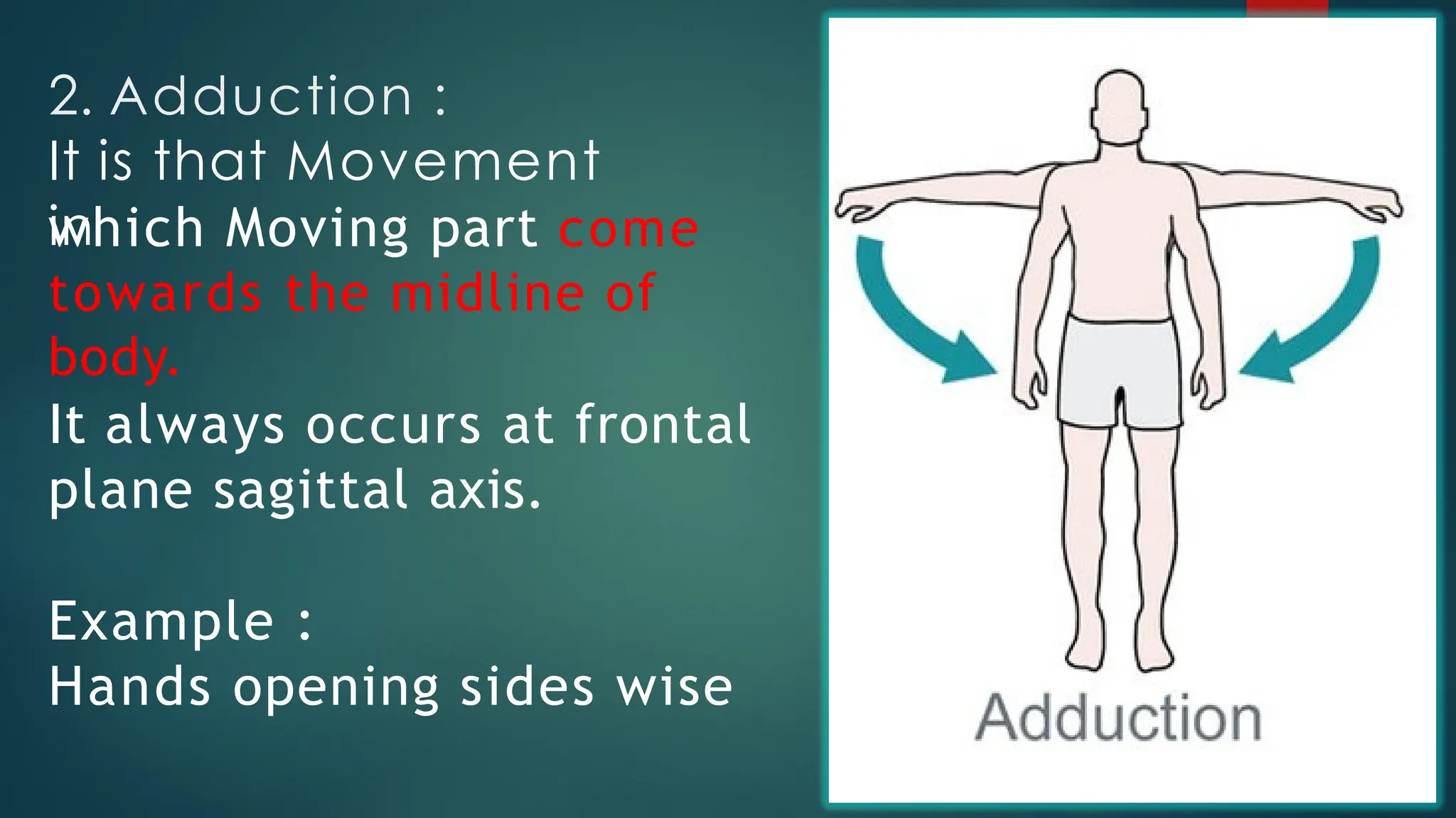 fundamentals of kinesiology and biomechanics in sports 2.0.pptx
