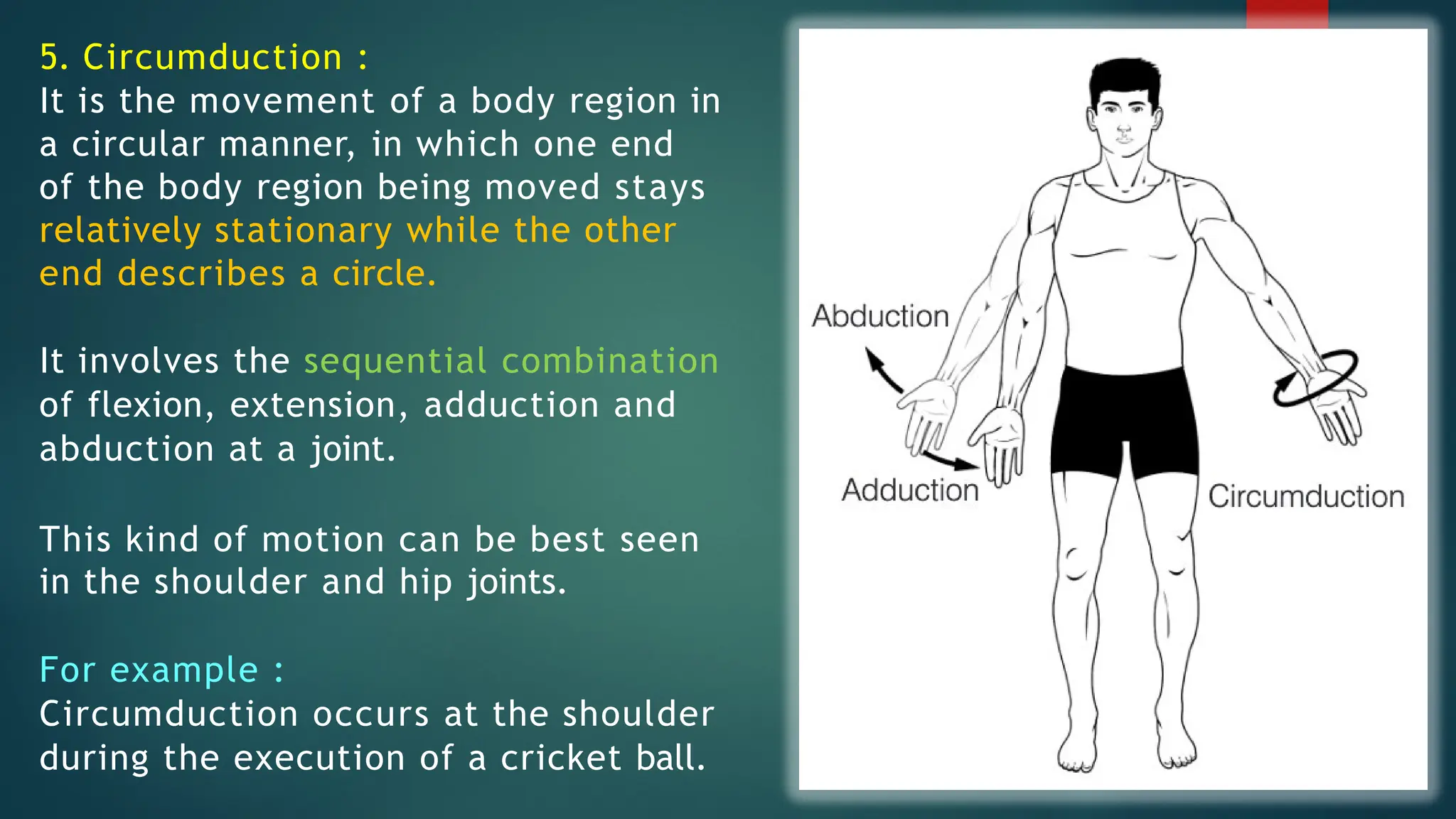 fundamentals of kinesiology and biomechanics in sports 2.0.pptx