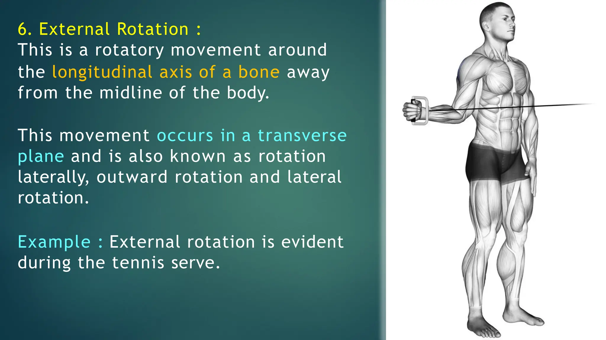 fundamentals of kinesiology and biomechanics in sports 2.0.pptx ...