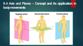 fundamentals of kinesiology and biomechanics in sports 2.0.pptx