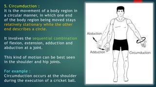 fundamentals of kinesiology and biomechanics in sports 2.0.pptx