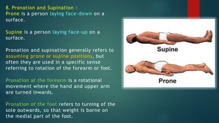 fundamentals of kinesiology and biomechanics in sports 2.0.pptx
