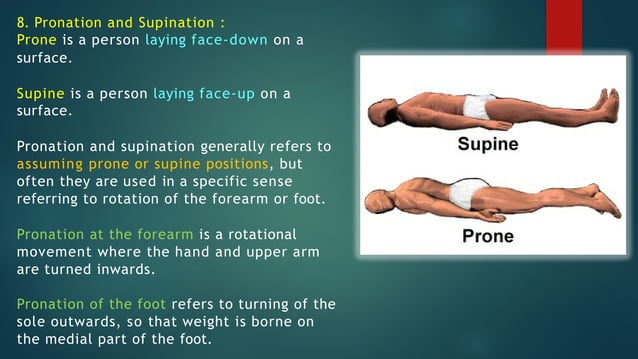 fundamentals of kinesiology and biomechanics in sports 2.0.pptx | Physical Therapy | Wellness