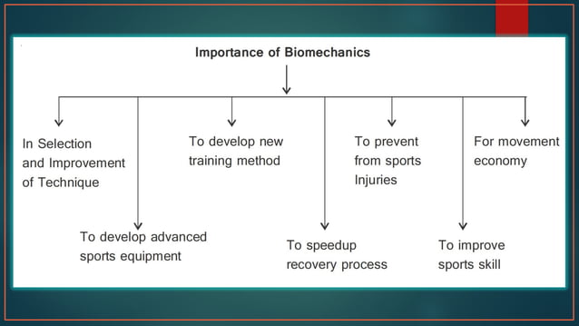 fundamentals of kinesiology and biomechanics in sports 2.0.pptx | Physical Therapy | Wellness