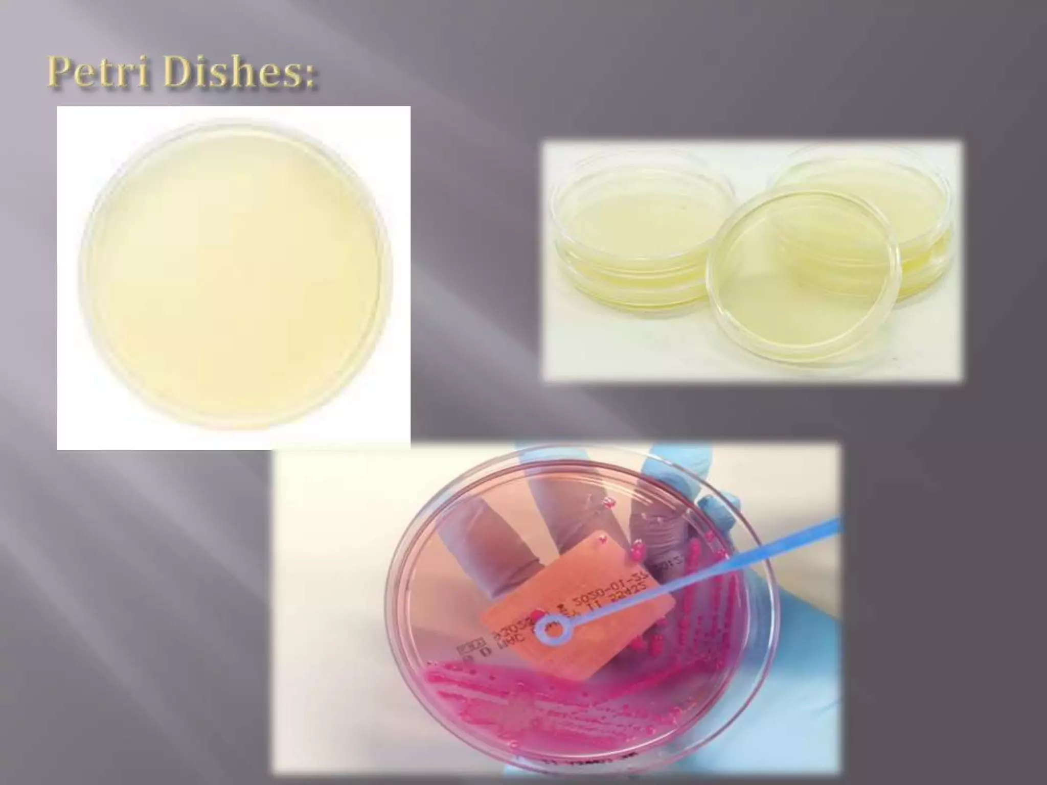 Common Glassware used in Lab | PPTX