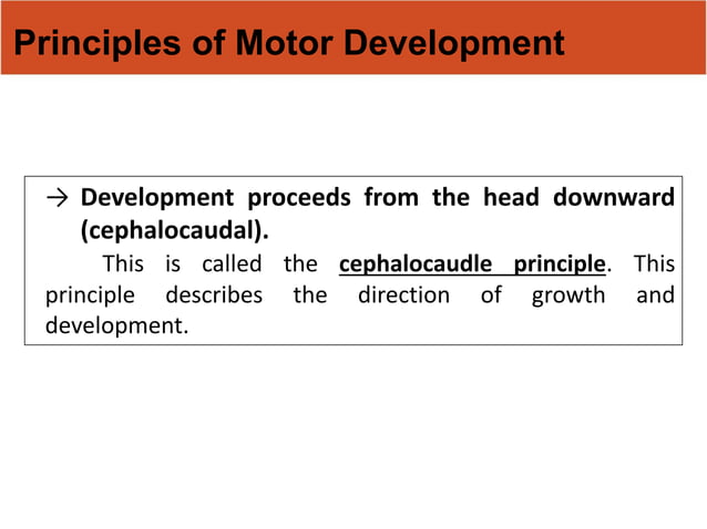 Fundamentals of Motor and Perceptual skills | PPTX | Parenting Babies and Toddlers | Parenting