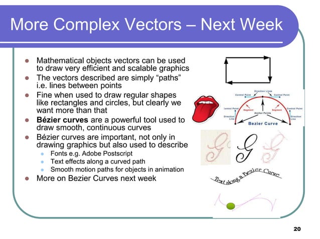 Fundamentals of Multimedia - Vector Graphics.pdf | Graphics Software ...