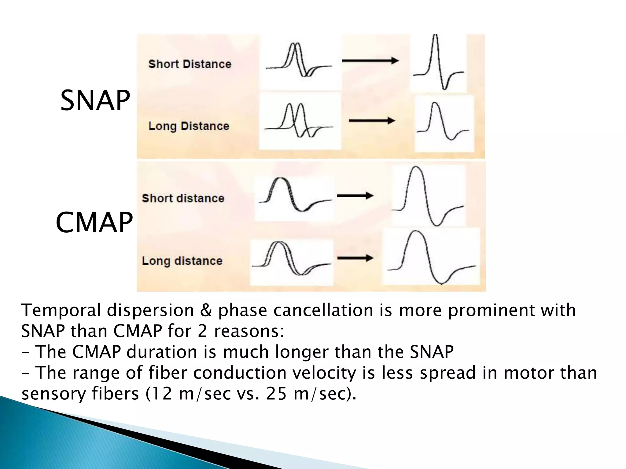 Fundamentals of nerve conduction study | PPTX