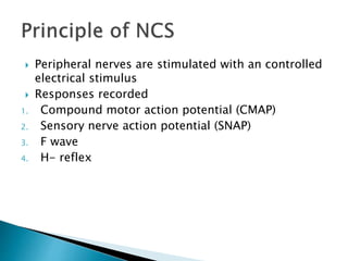 Fundamentals of nerve conduction study | PPTX