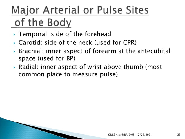 Fundamentals of nursing vital signs | PPTX