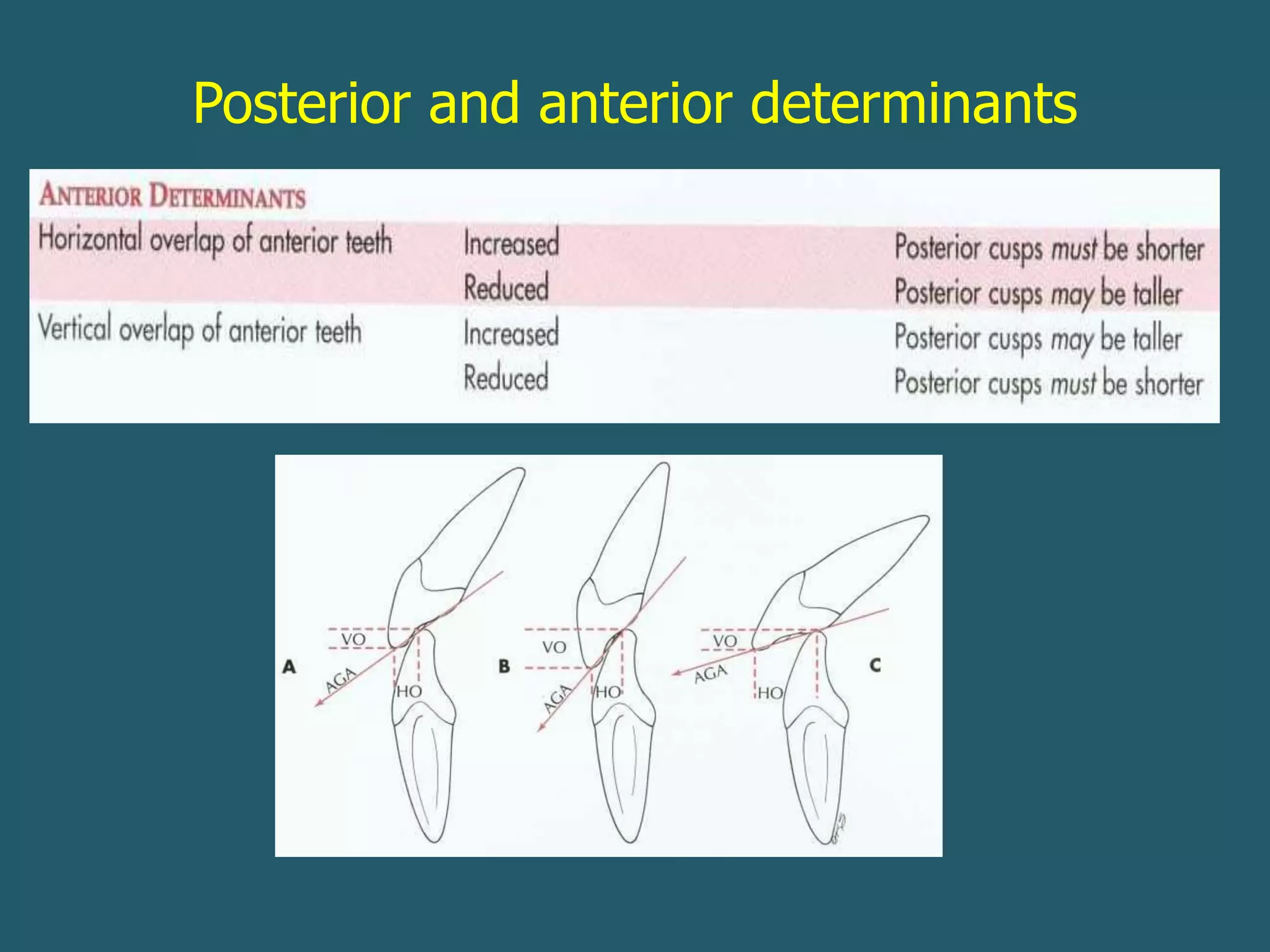 fundamentals of occlusion.pptx