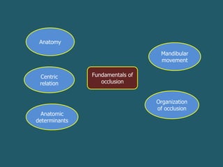 fundamentals of occlusion.pptx | Dental Health | Diseases and Conditions