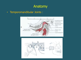 fundamentals of occlusion.pptx | Dental Health | Diseases and Conditions