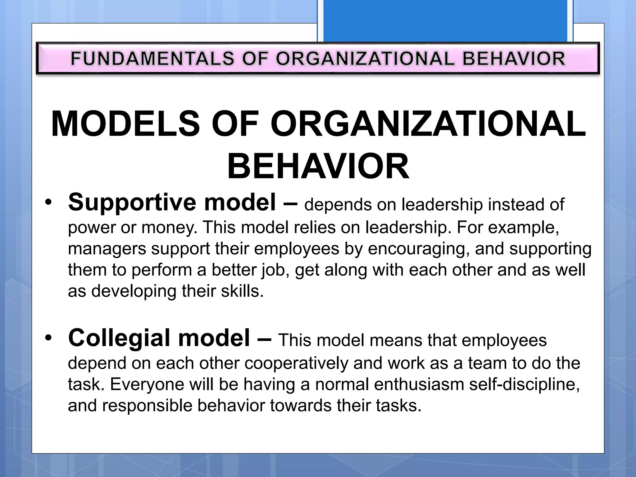 Fundamentals of organizational behavior | PPTX