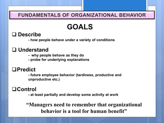 Fundamentals of organizational behavior | PPTX | Business | Business ...