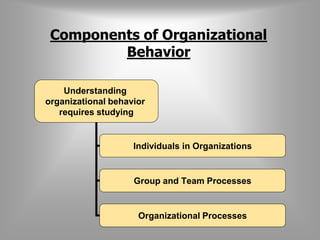 Fundamentals of Organizational Behavior | PPTX