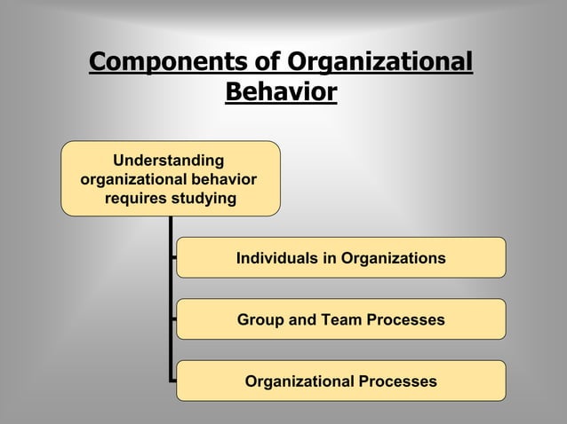 Fundamentals of Organizational Behavior | PPTX