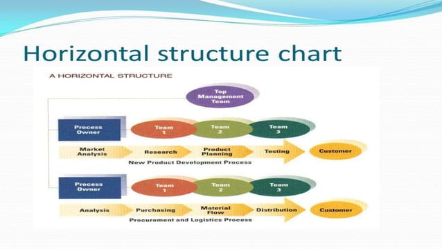 Fundamentals of organizational structure ppt | PPTX | Business Administration | Business