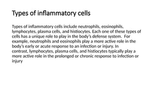 Fundamaentals of Pathology - INFLAMMATION.pptx