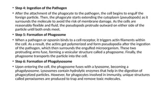 Fundamaentals of Pathology - INFLAMMATION.pptx