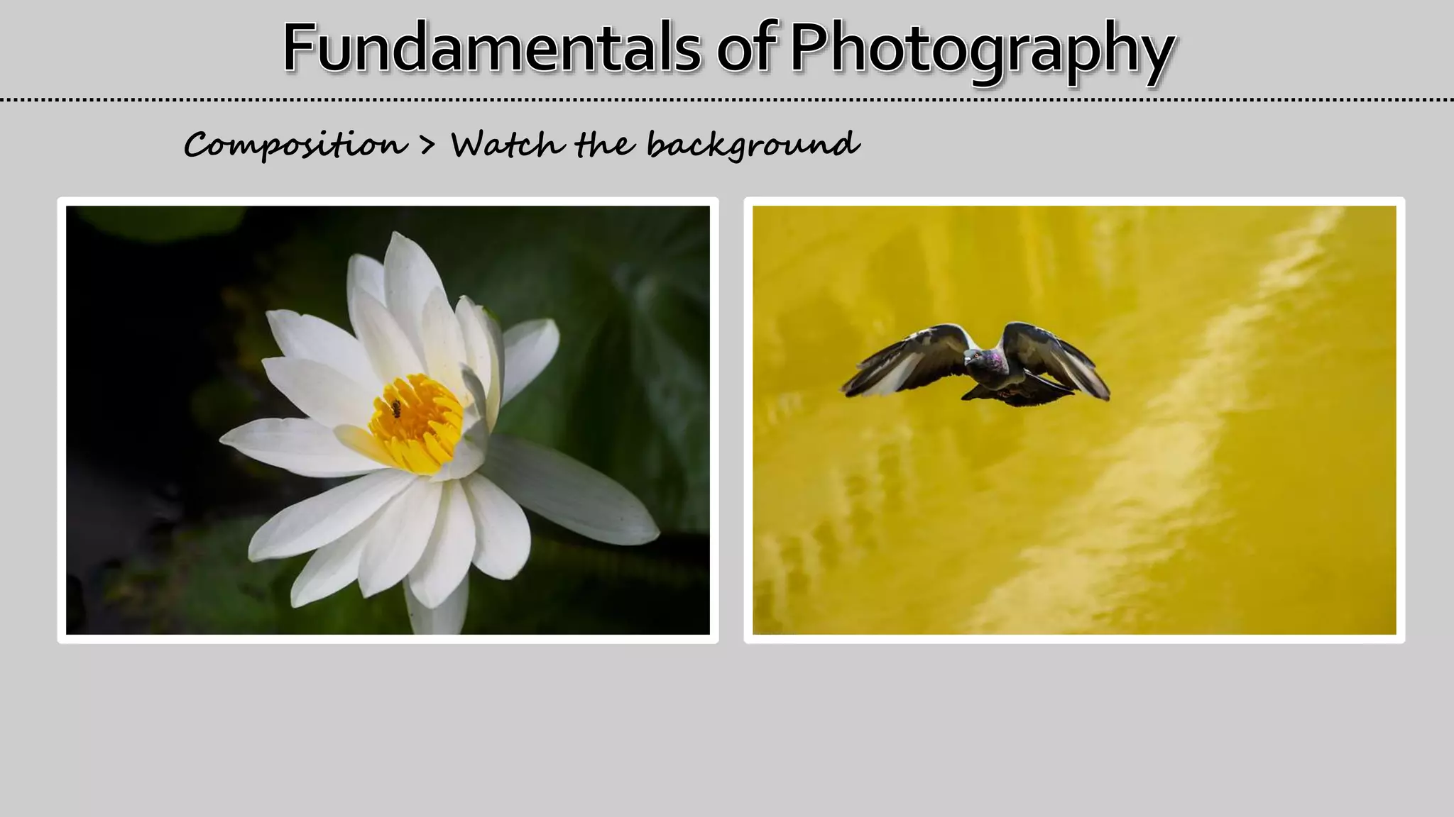 Fundamentals of photography | PPT