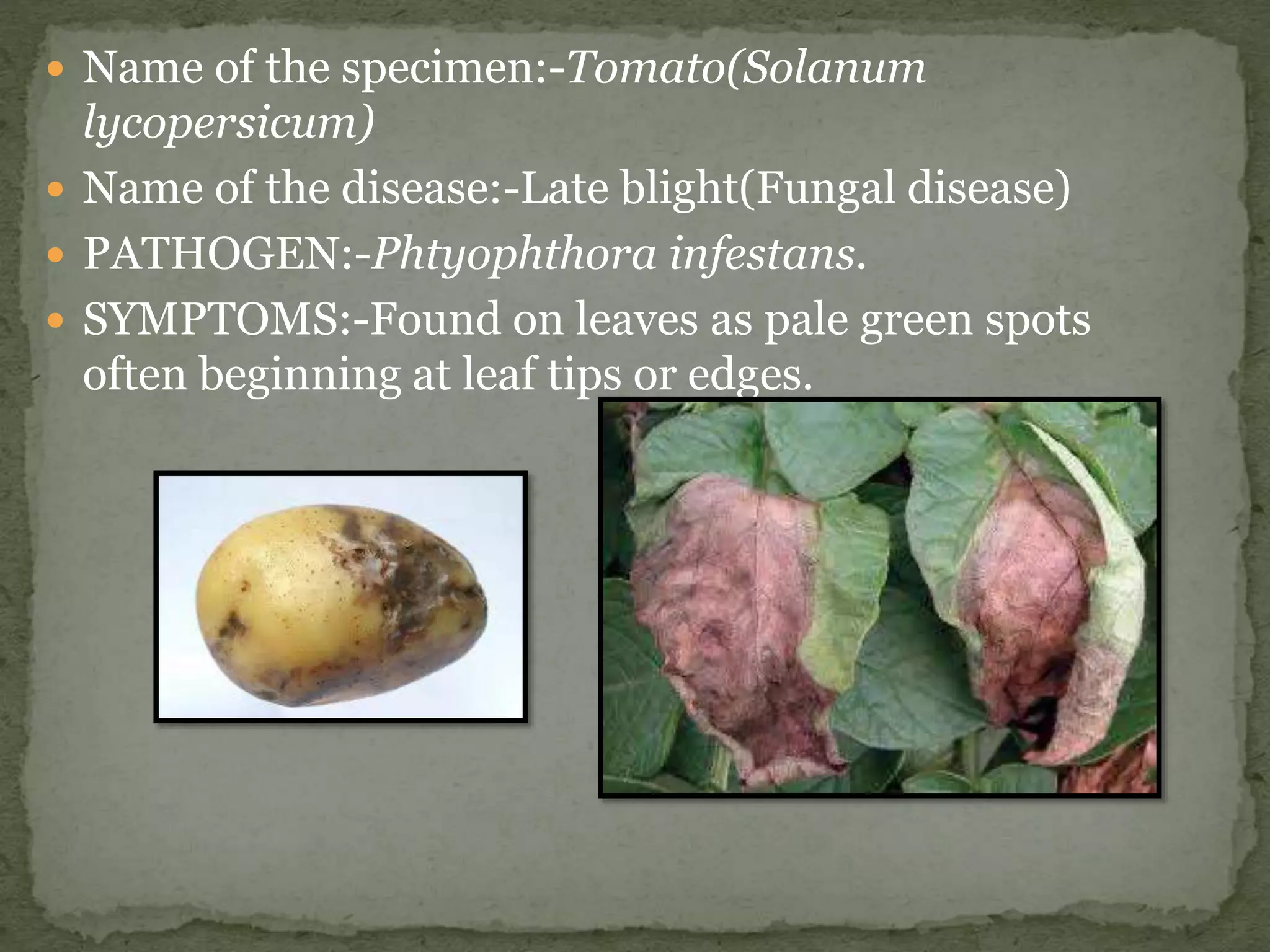 FUNDAMENTALS OF PLANT PATHOLOGY.pptx