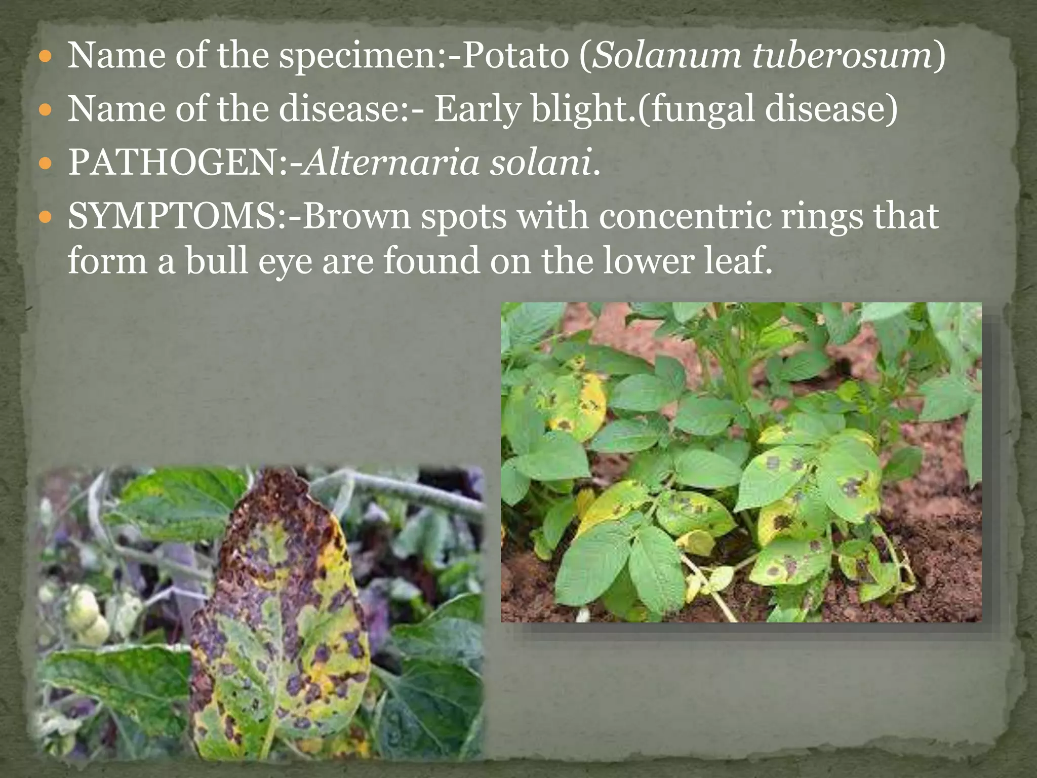 FUNDAMENTALS OF PLANT PATHOLOGY.pptx