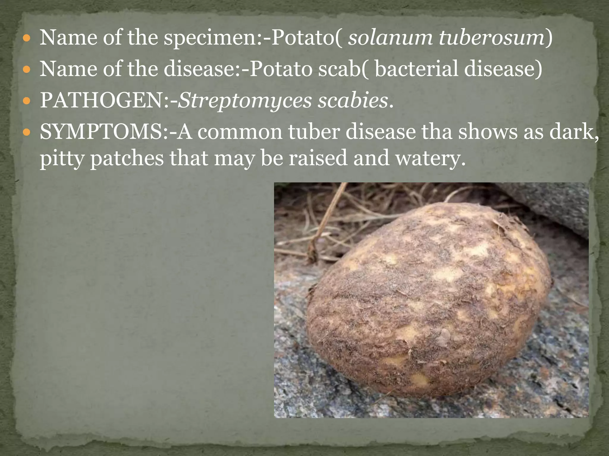 FUNDAMENTALS OF PLANT PATHOLOGY.pptx