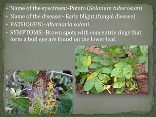 FUNDAMENTALS OF PLANT PATHOLOGY.pptx