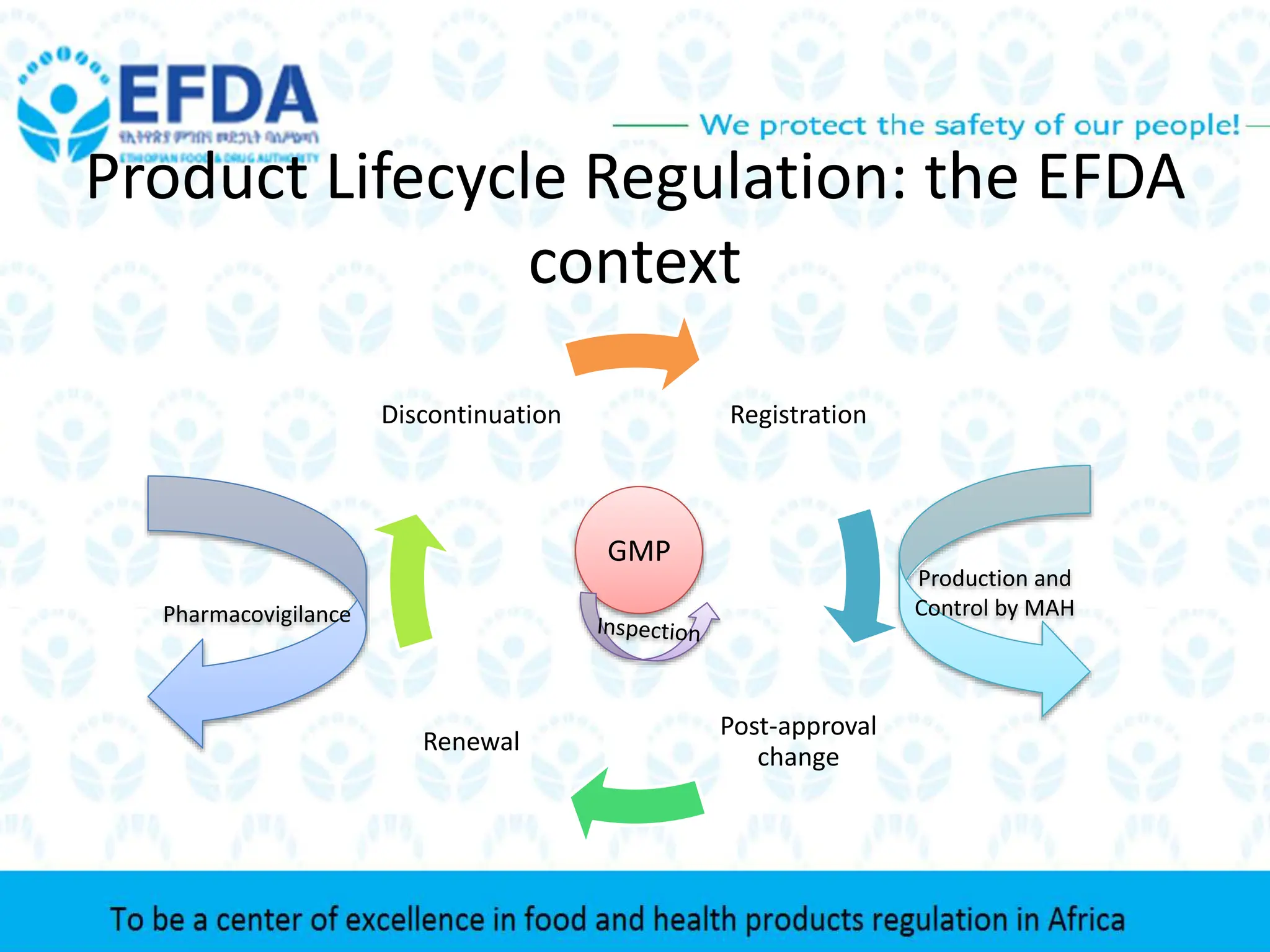 Fundamentals of Regulation ethiopian food and drug authority.pptx