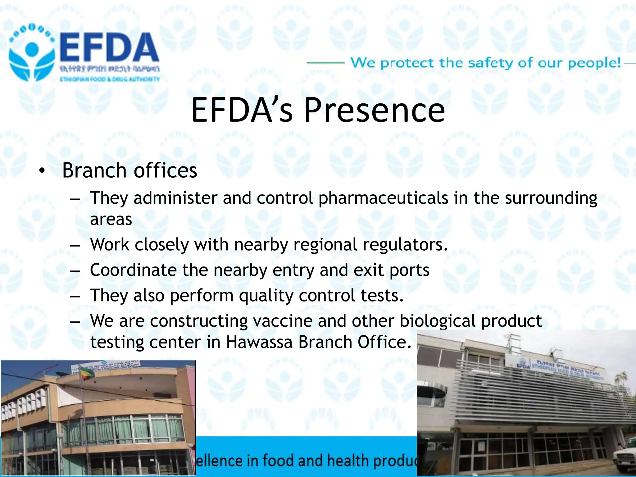 Fundamentals of Regulation ethiopian food and drug authority.pptx