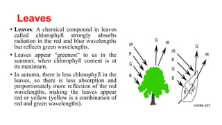 Fundamentals of Remote Sensing | PPTX