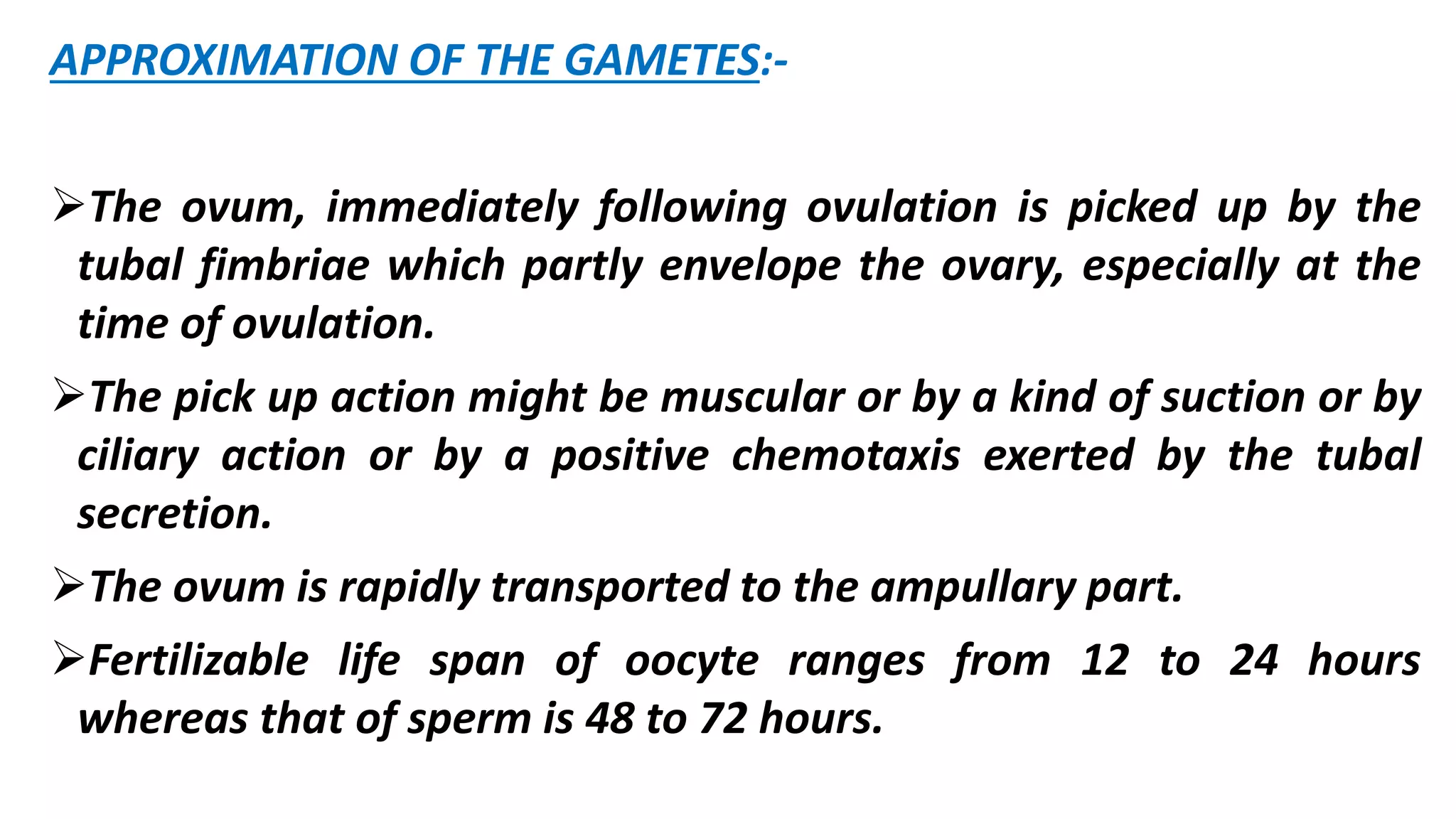 Fundamentals of reproduction | PPTX