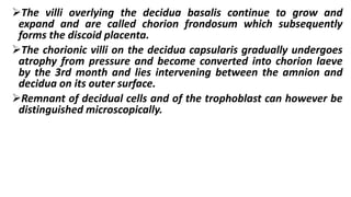 Fundamentals of reproduction | PPTX