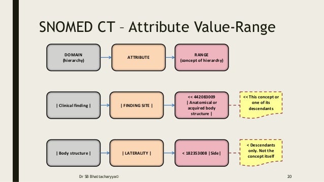 Fundamentals of snomed ct