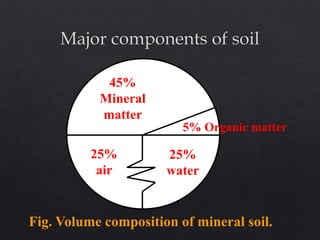 Fundamentals of soil science | PPSX