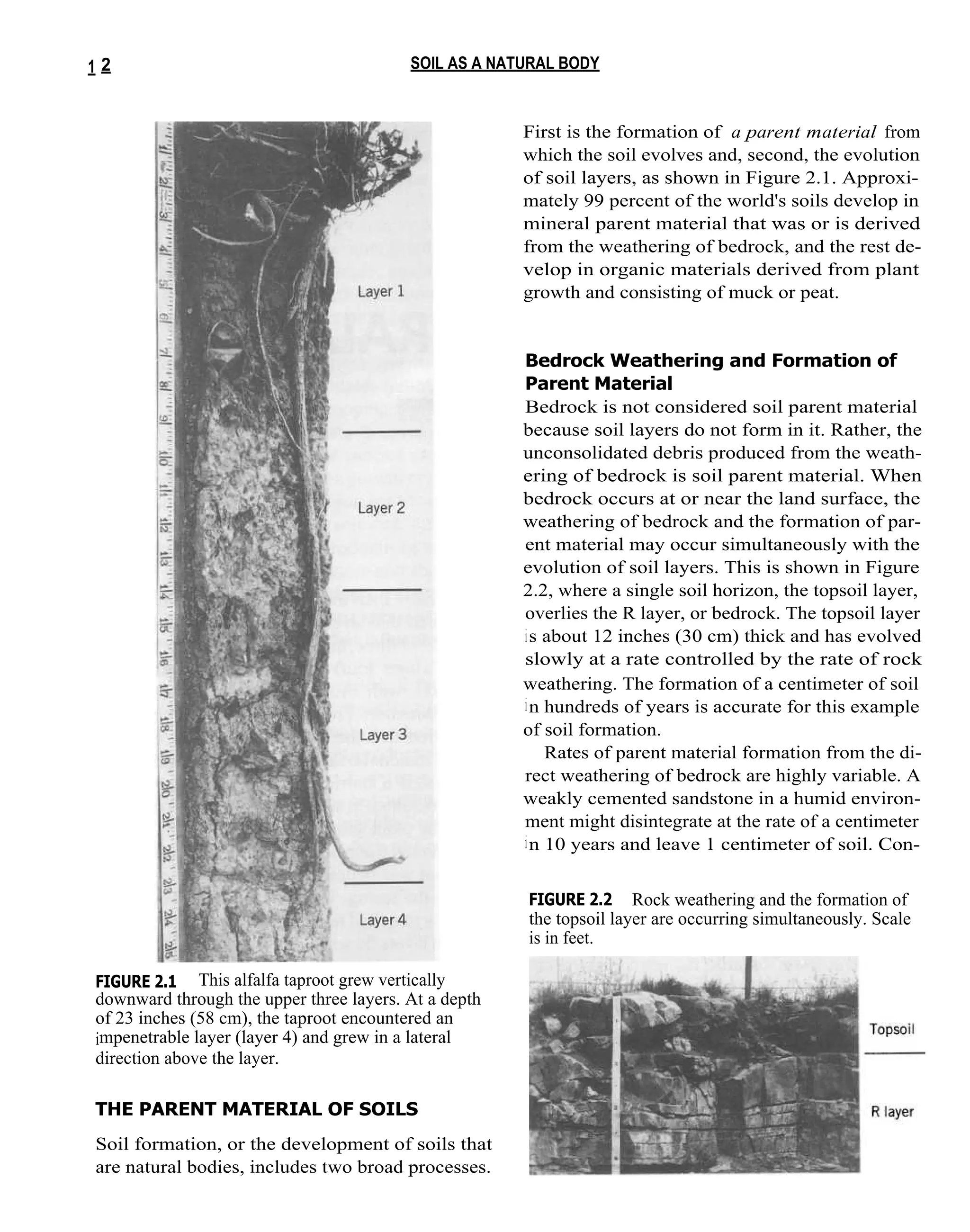 Fundamentals of Soil Science | PDF