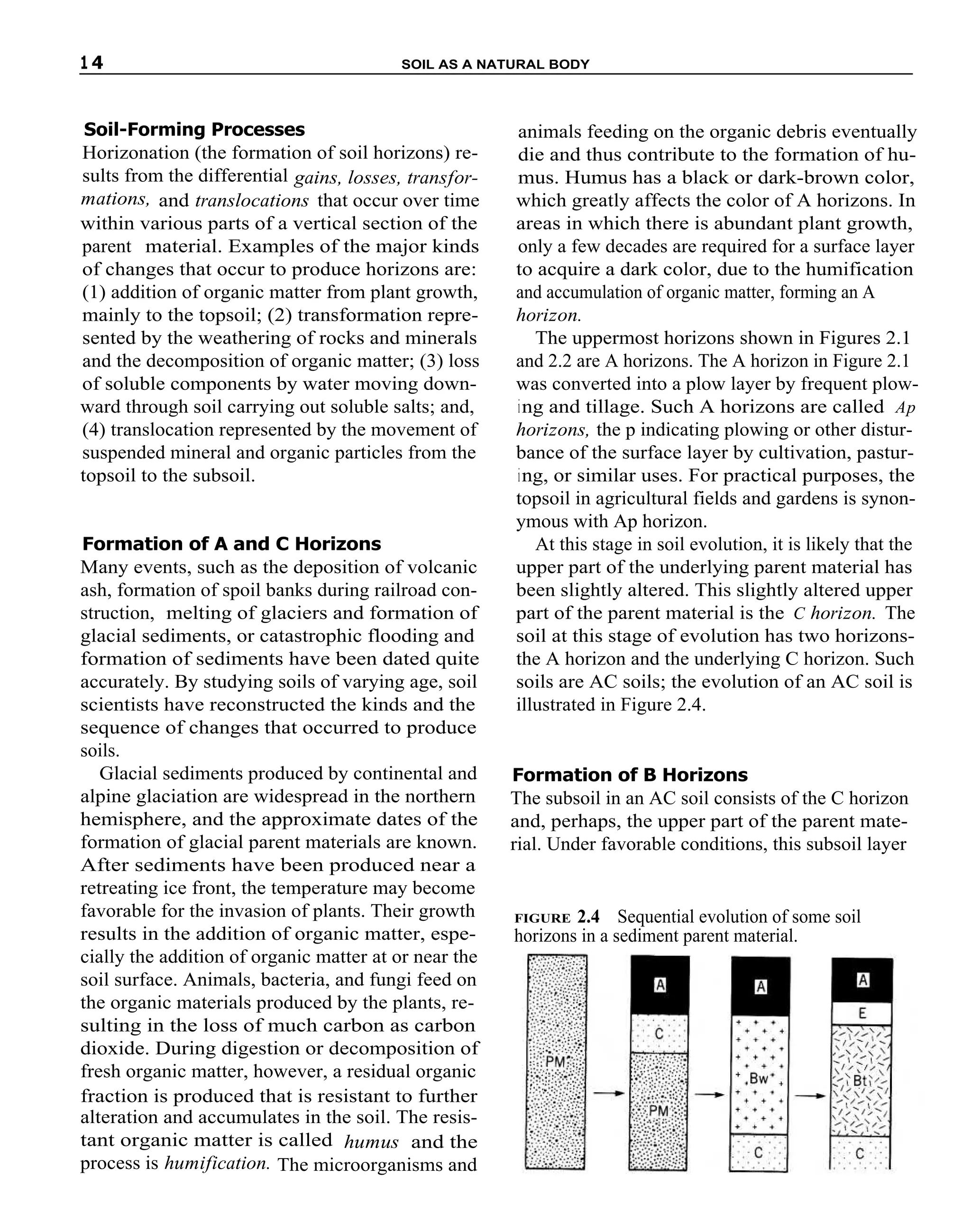Fundamentals of Soil Science | PDF