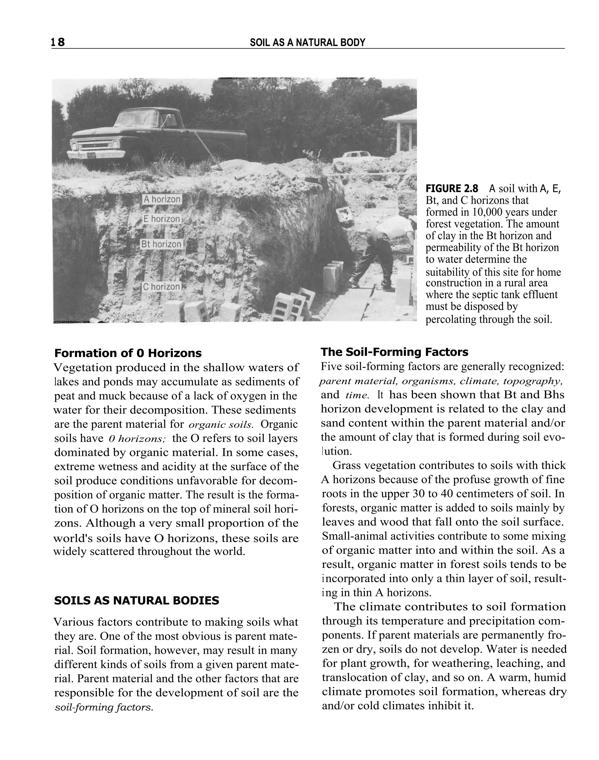 Fundamentals of Soil Science | PDF