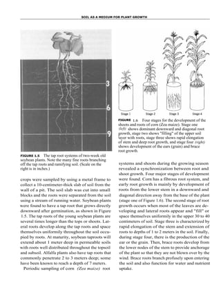 Fundamentals of Soil Science | PDF